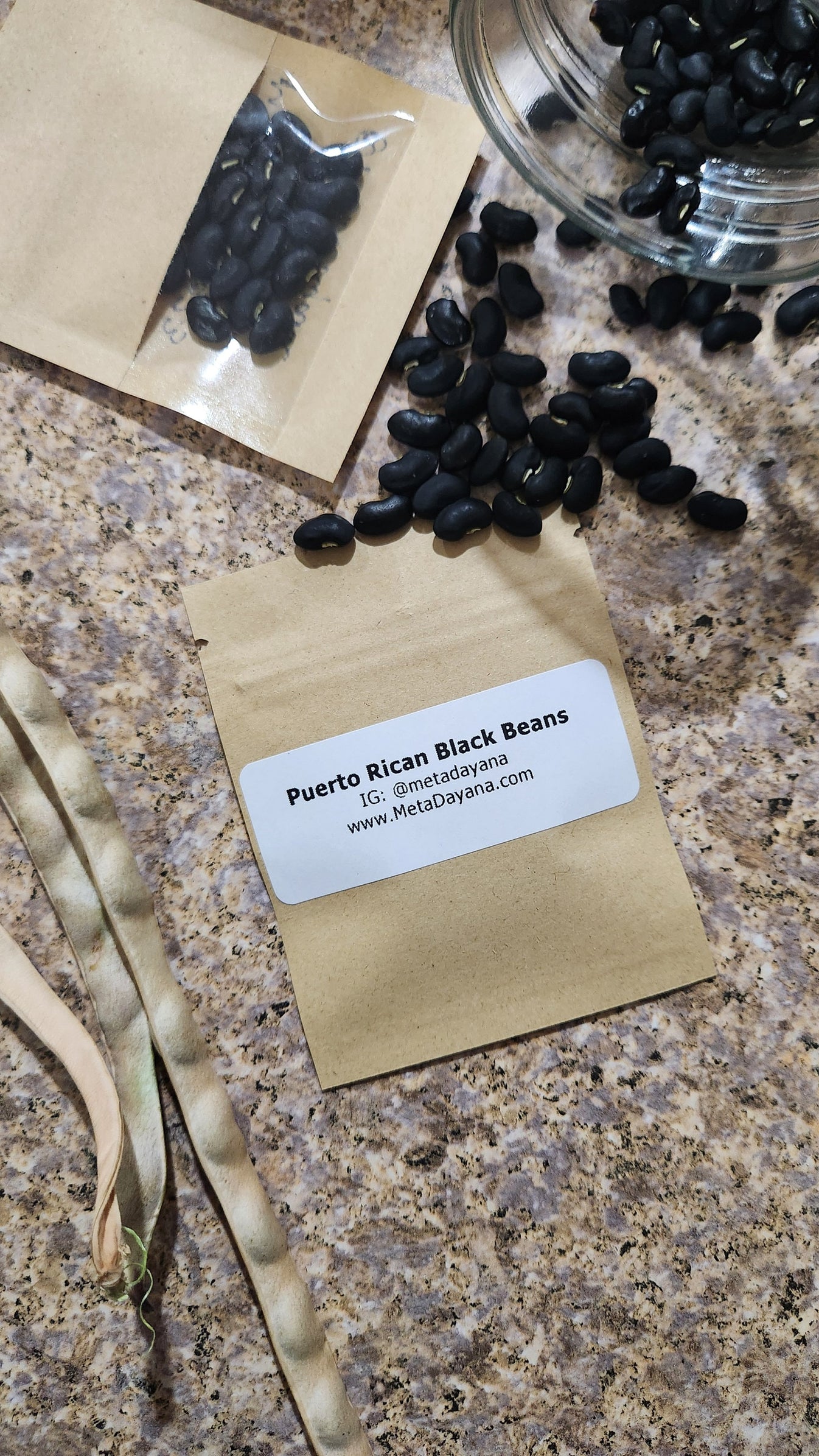 Puerto Rican Black Beans Seeds – DTG Naturals