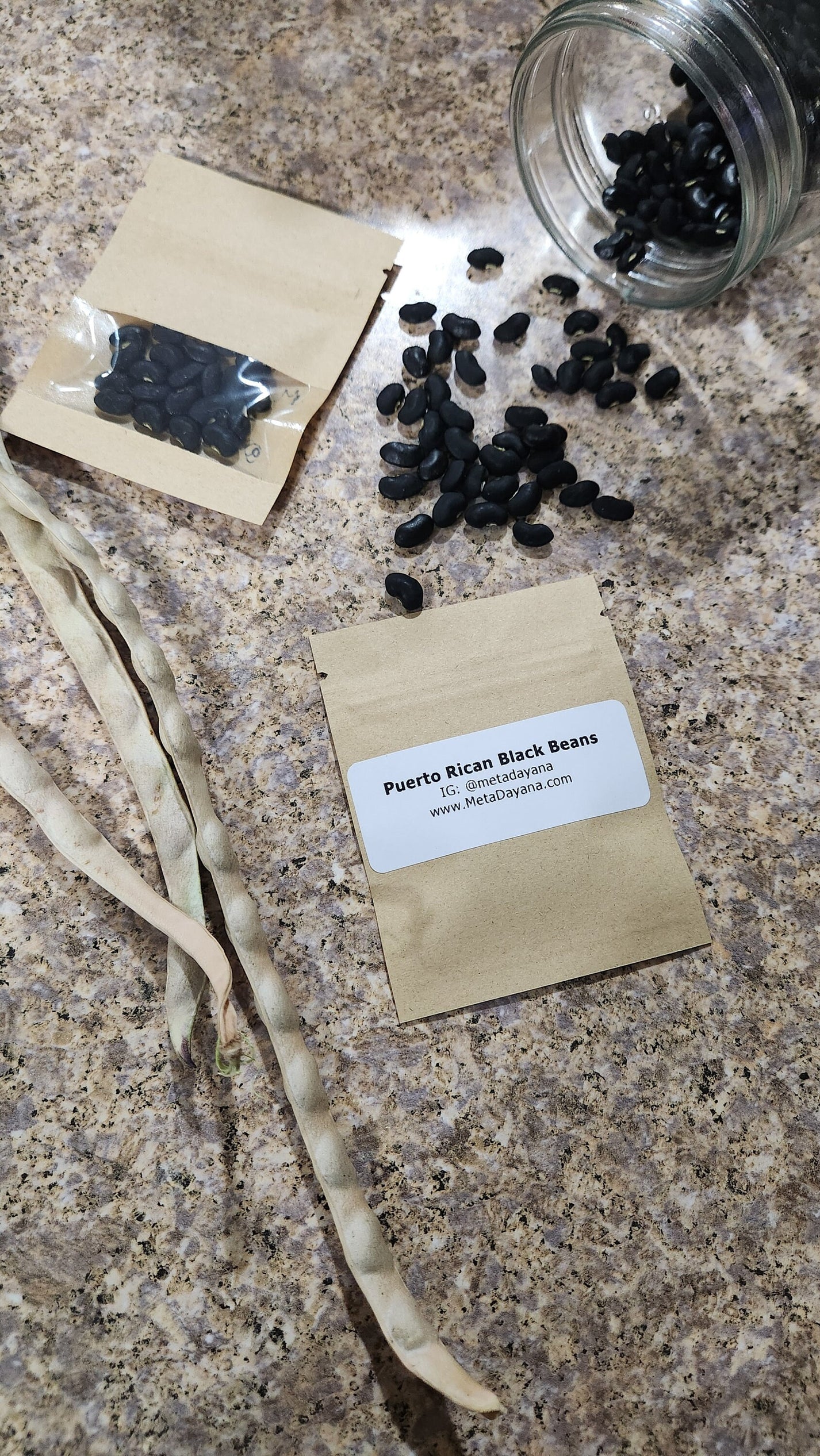 Puerto Rican Black Beans Seeds – DTG Naturals